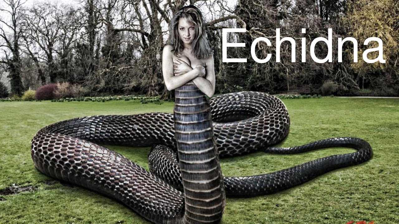 Greek Monster Echidna