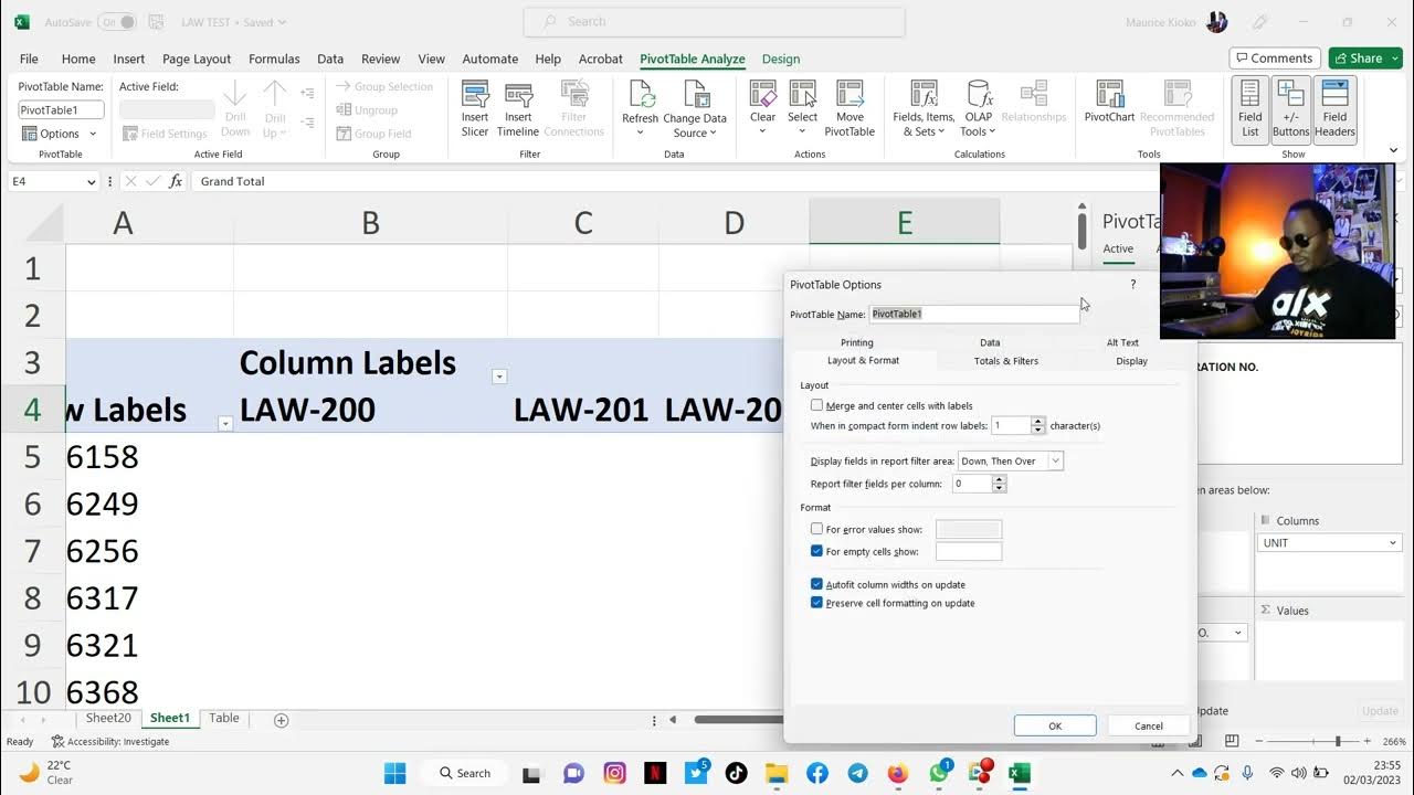 Concatenatex Function On Pivot Table In Excel Youtube