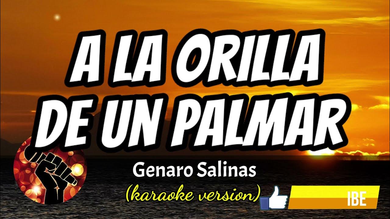 A La Orilla De Un Palmar - Genaro Salinas (karaoke version) - YouTube