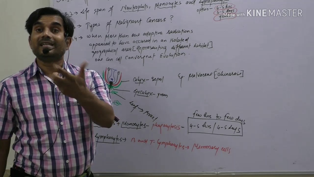 Epicalyx vs Bract, life span of leukocytes, types of malignancies ...
