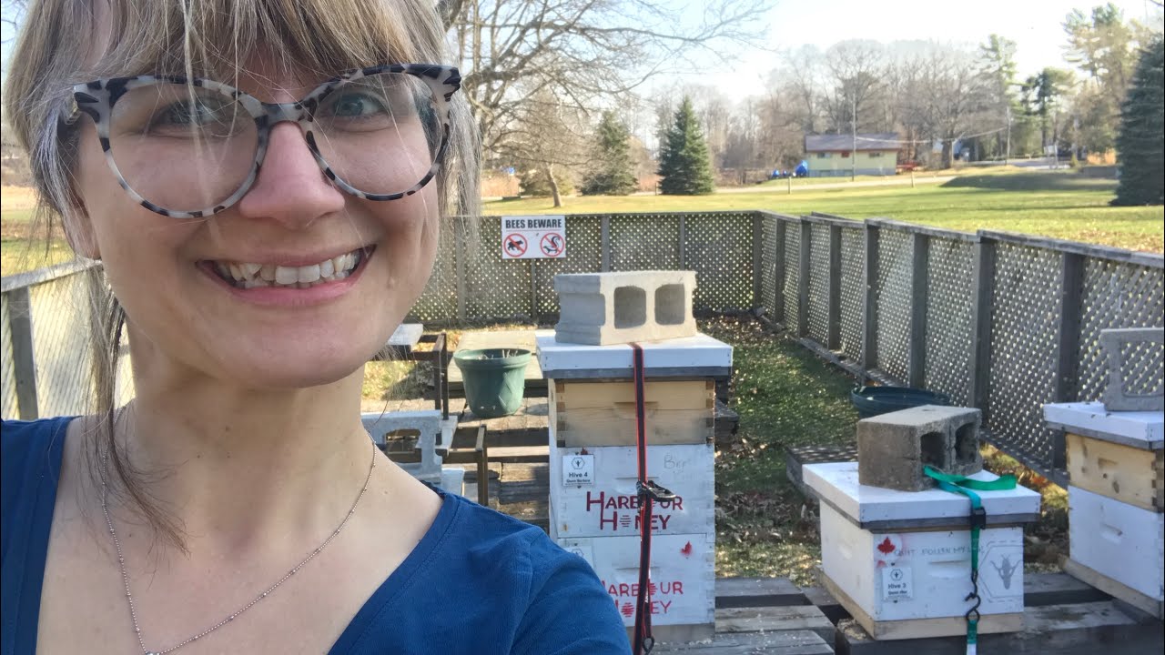 Beekeeping LIVE with Lizzie - Feeding Bees Pollen Patties and Sugar ...