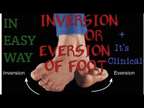 Inversion Or Eversion Of Foot| It's Clinical| Lower Limb|Anatomy - YouTube