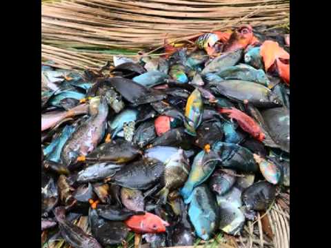 Polowat islands - YouTube