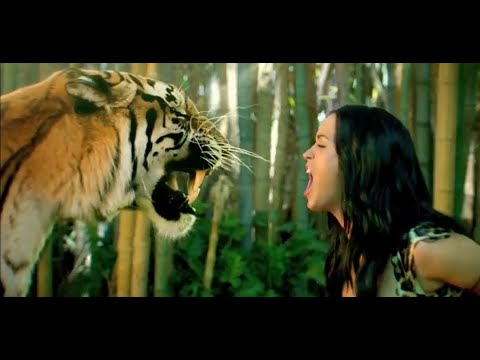 Katy Perry - Roar Song - YouTube