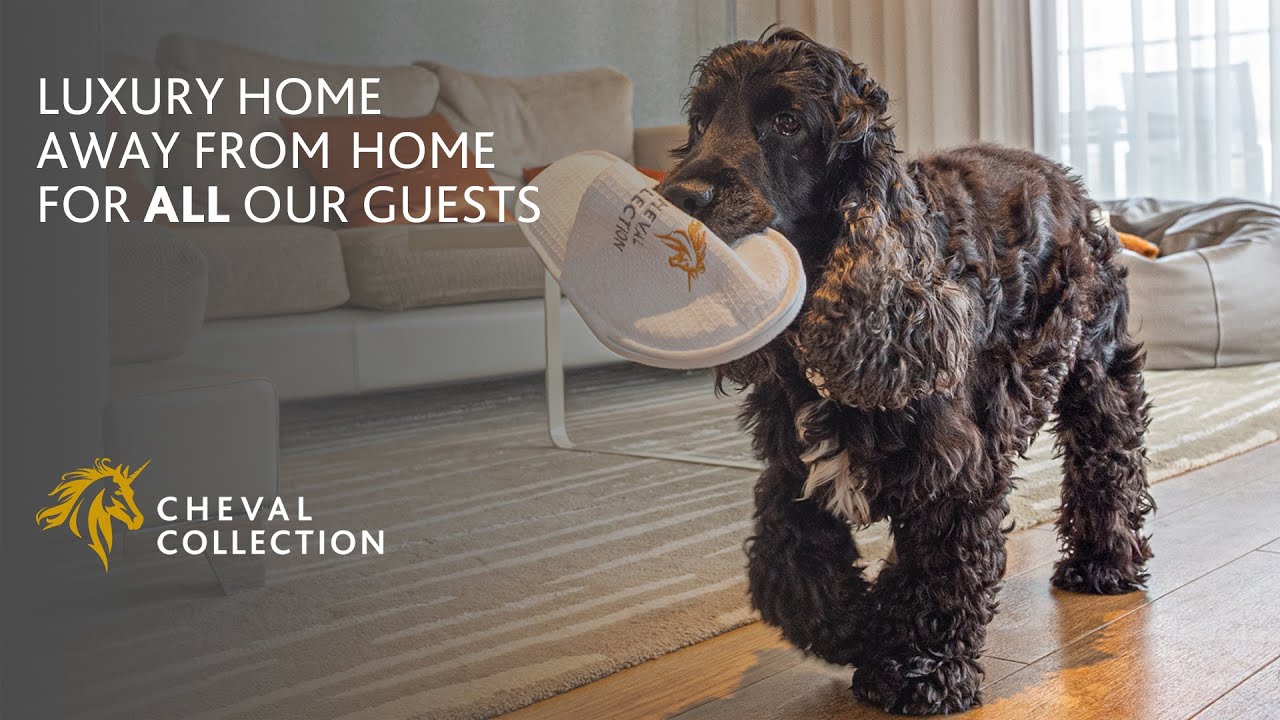 Cheval x Furry Friends | Pet-friendly accommodation in London ...