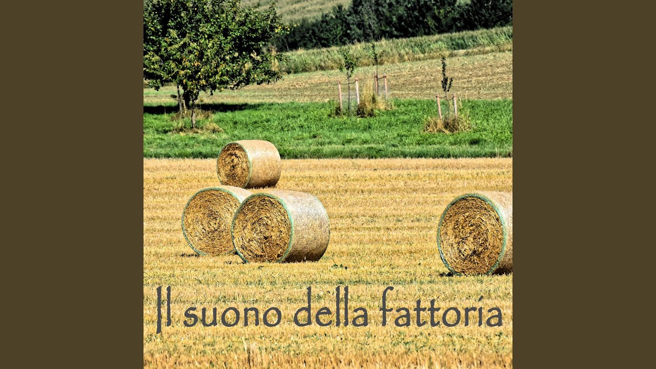 Contadino che zappa la terra - YouTube
