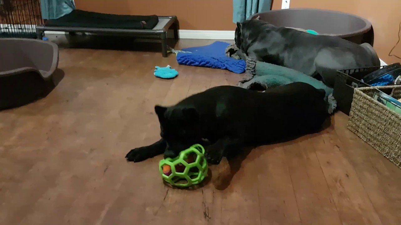 Holey Ball Fun - YouTube