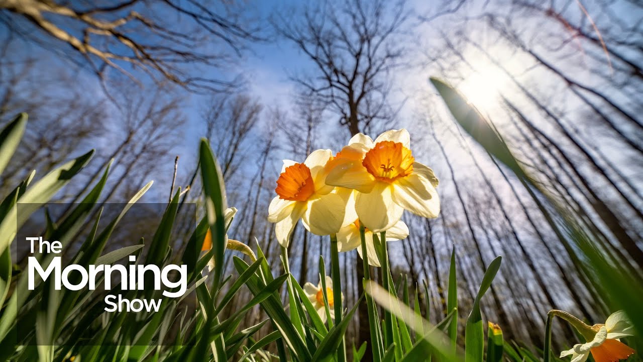 Spring weather forecast: What Canadians can expect this season - YouTube