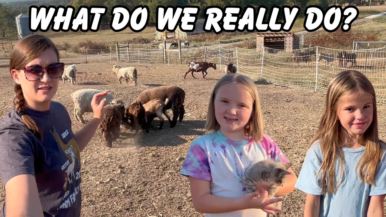 What Really Happens On Our Farm? A Day In The Life Journey Around The ...