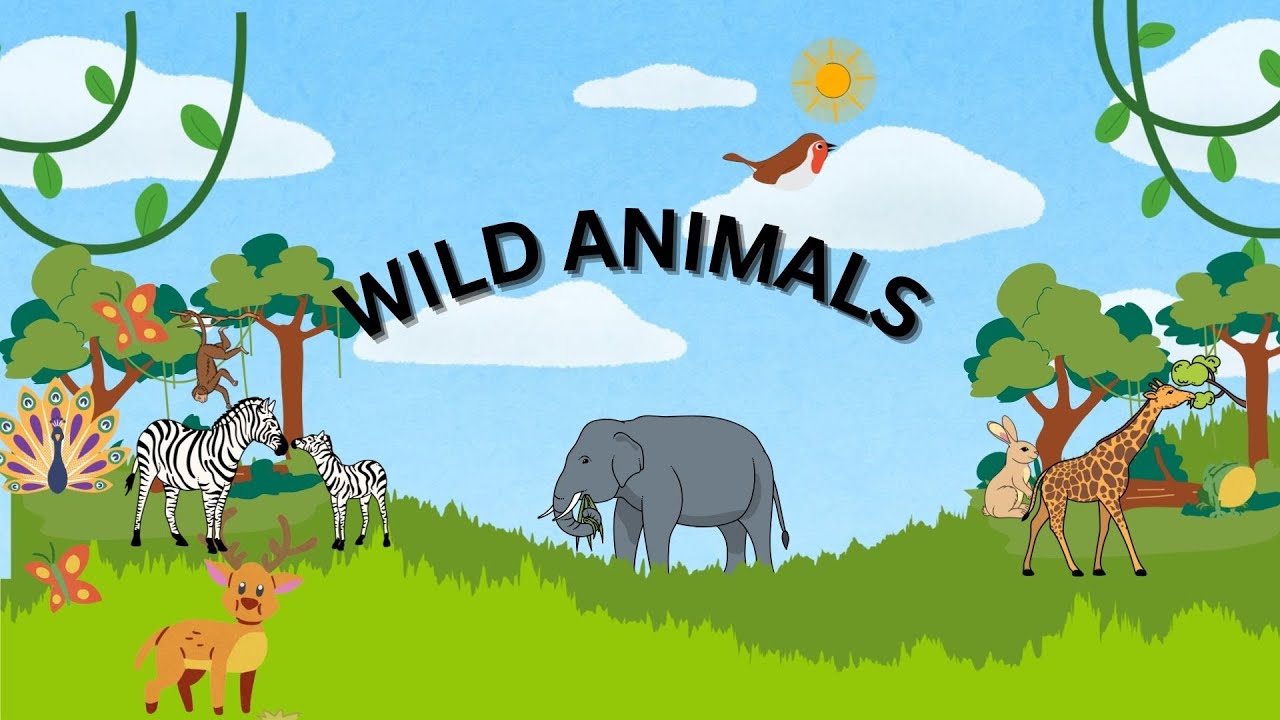 Wild Animals |kids Learn Wild Animals In English | @Doranets - YouTube
