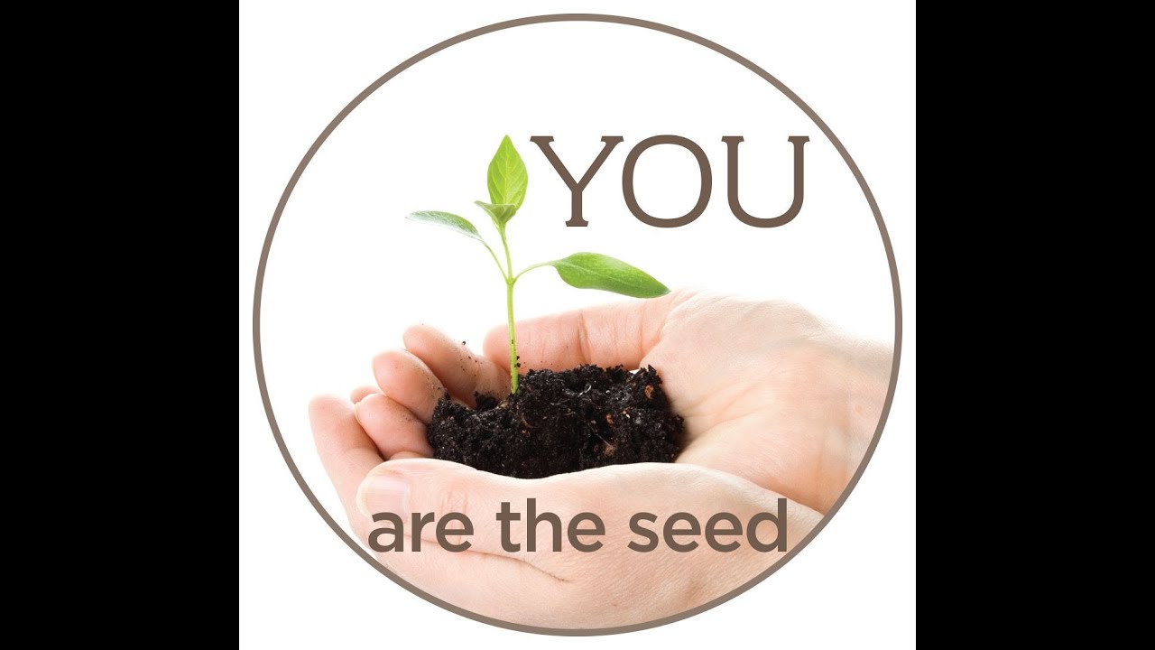 You Are The Seed - YouTube