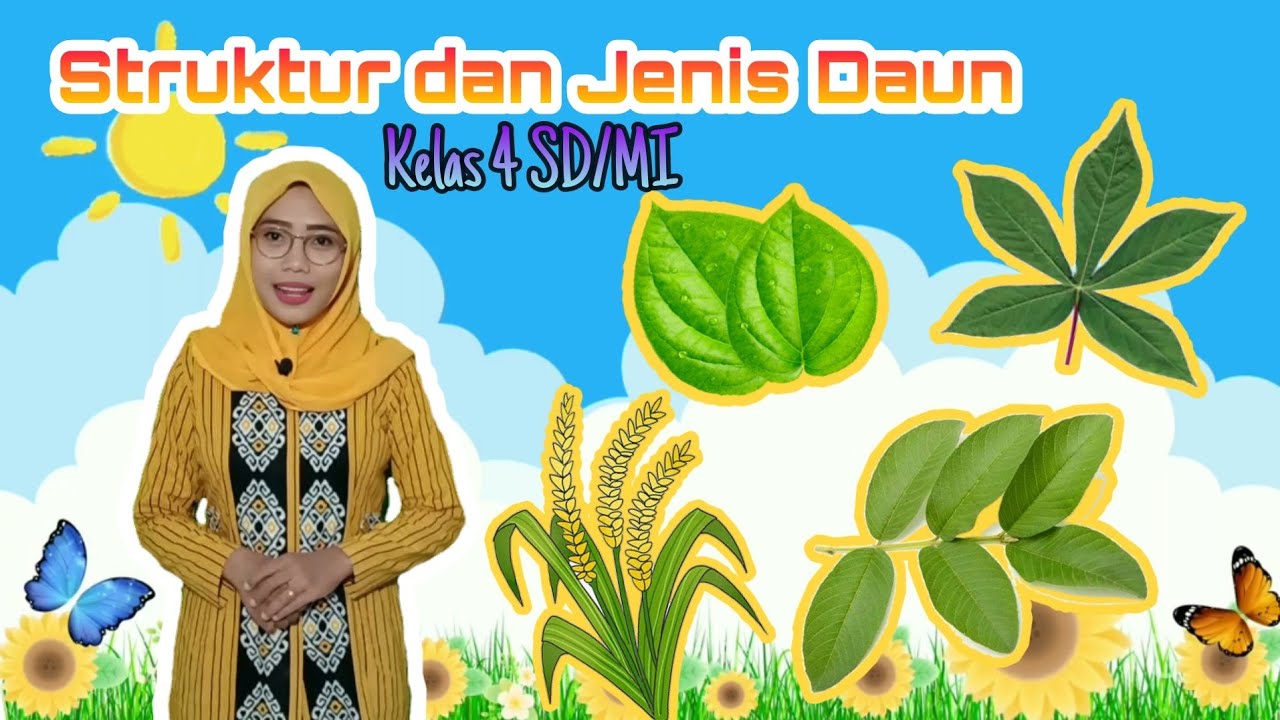 Struktur dan Jenis Daun Muatan Pelajaran IPA Kelas 4 SD/MI Tema 3 - YouTube