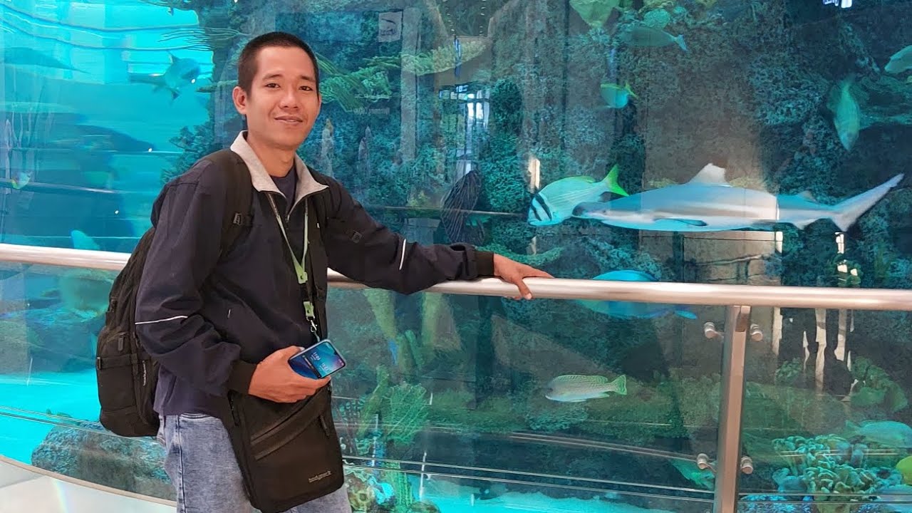 AQUARIUM JEDDAH AIRPORT AT NEW TERMINAL (T1) - YouTube