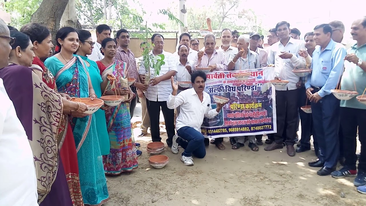 "SELFIE WITH PARINDA" Parinda for Birds - YouTube