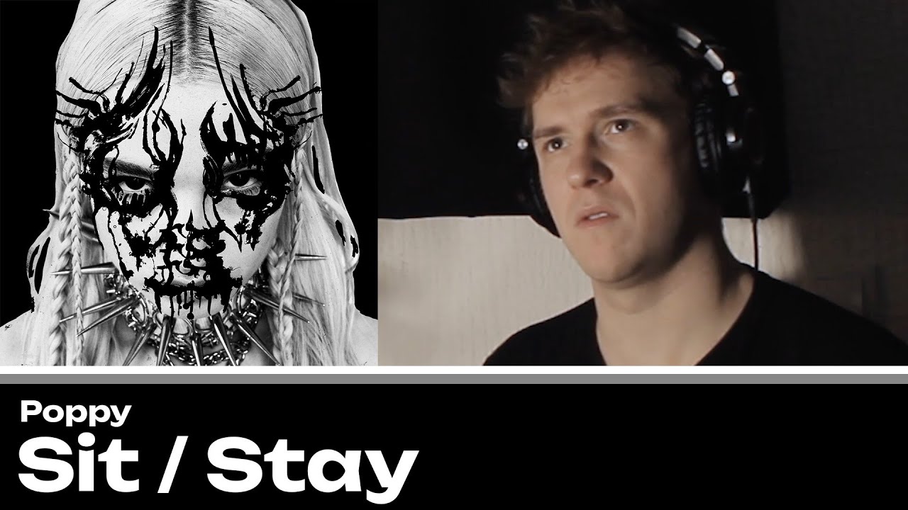 POPPY - Sit / Stay | REACTION - YouTube