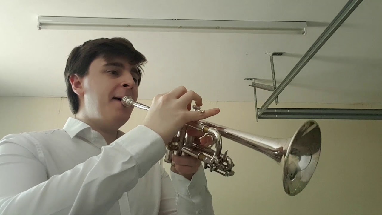 Haydn Trumpet Concerto 1st movement - YouTube