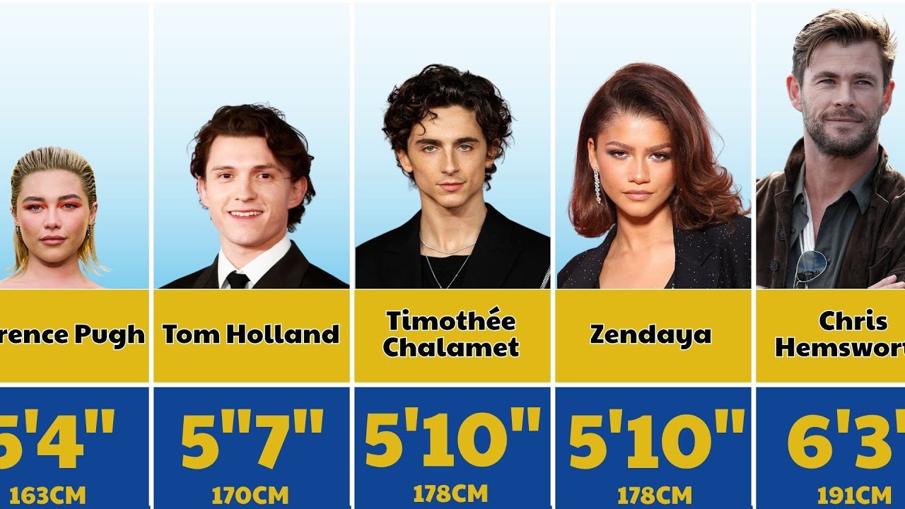 500 Shocking Heights of Hollywood Actors 😲 From Shortest to Tallest ...