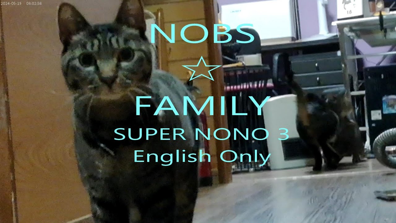 SUPER NONO 3 English Only - YouTube