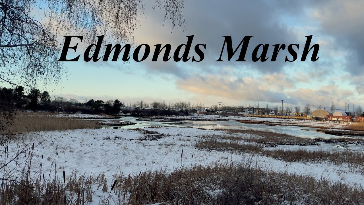 Snow Walk, Edmonds Marsh Estuary, Edmonds Washington (4k, binaural ...