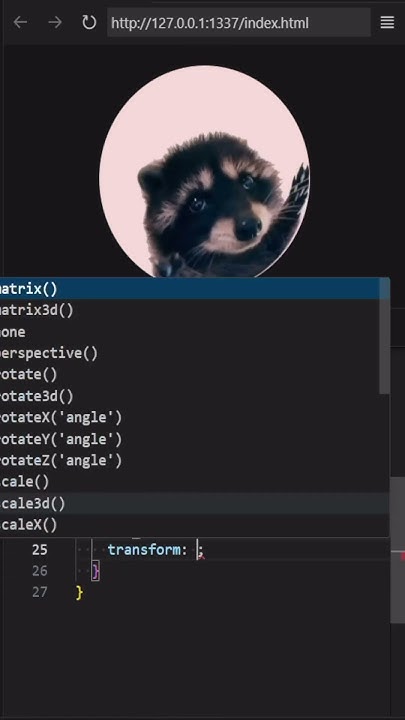 Pedro Spinner In Css Html Css Pedro Spinner Keyframe Bounce Rotate Coding Progmasters 
