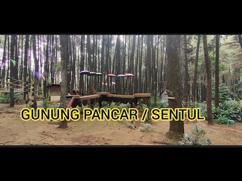 GUNUNG PANCAR SENTUL / WISATA HUTAN PINUS - YouTube