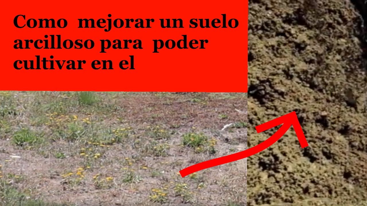 Como mejorar un suelo arcilloso a suelo perfecto para huerto - YouTube