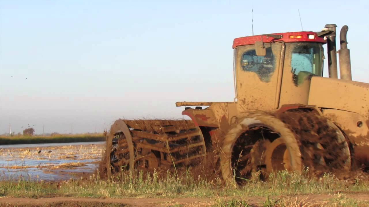 Swift moving Stomper - YouTube