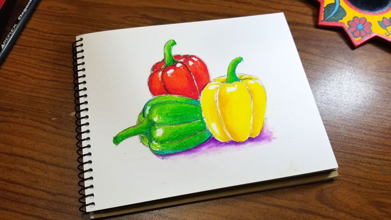 how to draw capsicum | capsicum drawing step by step | bell pepper ...