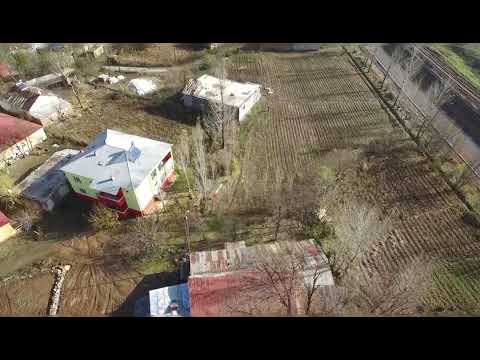 Alizurum KÖYÜ MUŞ