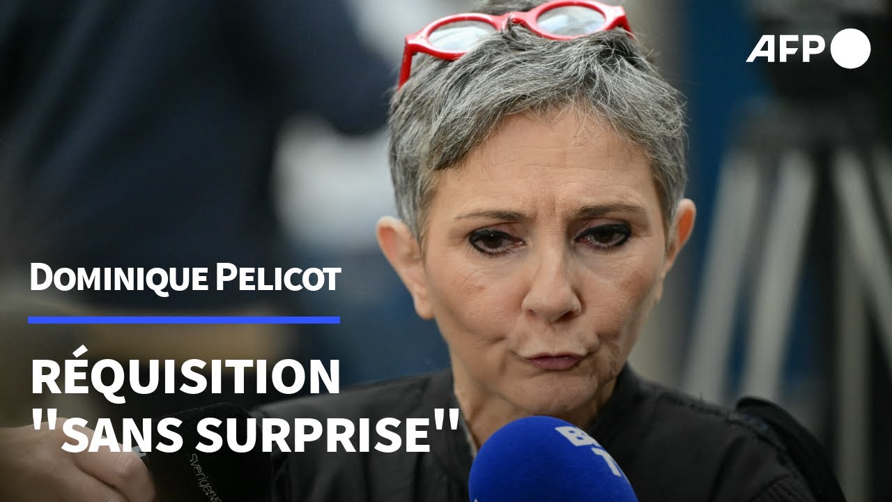 20 ans de réclusion requis contre Dominique Pelicot: son avocate réagit ...