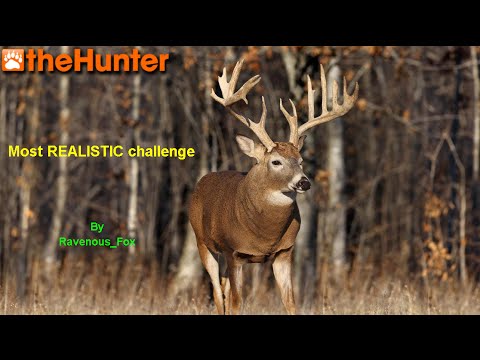 TheHunter - Most REALISTIC Hunting Challenge (Stream Footage) - YouTube