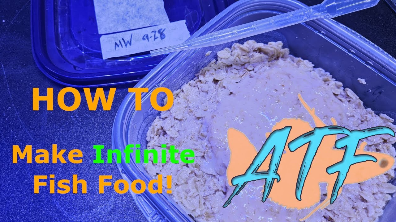 How To Culture Nematodes, Banana Worms, Walter Worms, Micro Worms ...