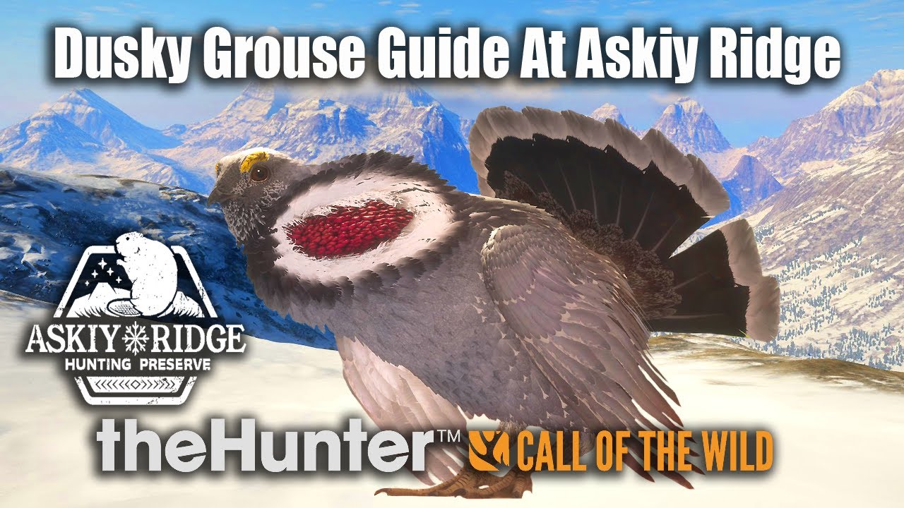 Dusky Grouse Guide At Askiy Ridge - theHunter Call Of The Wild - YouTube