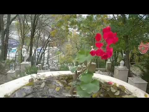 Quba 30.10.2025 Video: Elmar Salayev 🚴