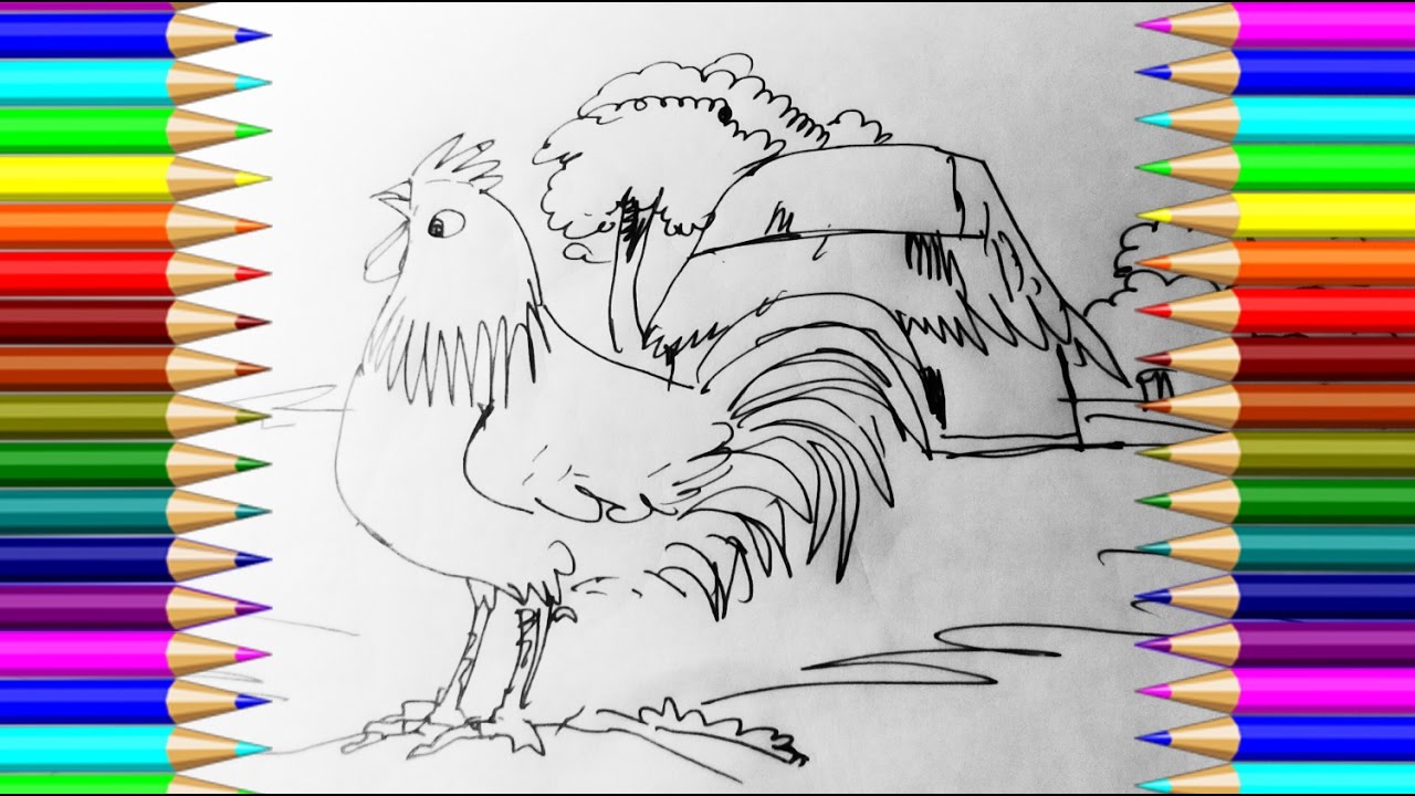 How to Draw a Cock Easy Step by Step with pen \ very easy drawing ...