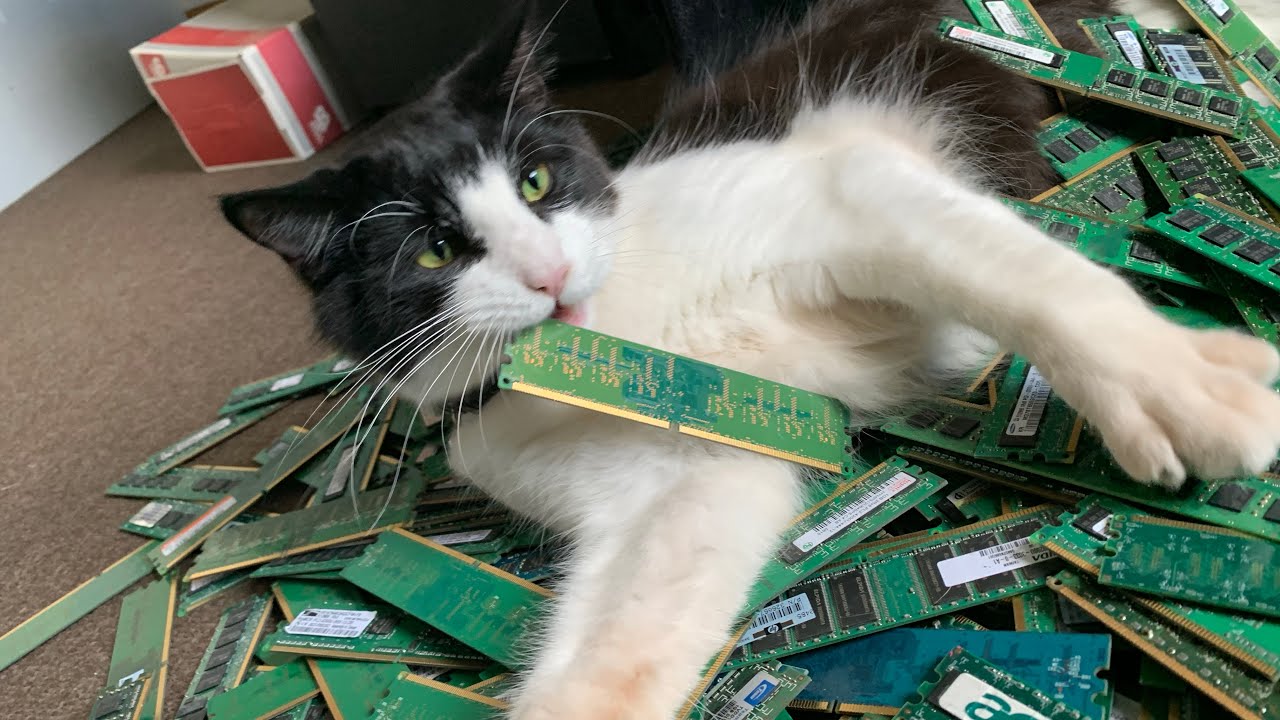 10kg RAM sticks gold fingers recovery. - YouTube