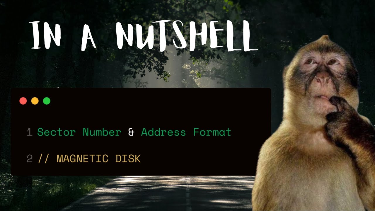 Sector Numbering & Address Format | Magnetic Disk | COA | Nutshell EZ ...