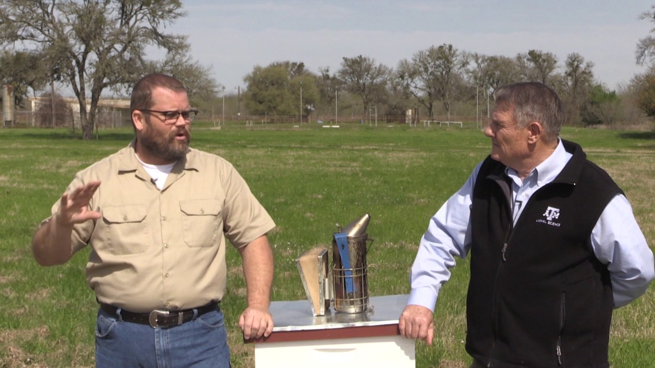 Mark Dykes - Veterinary Feed Directives - Distribution of Bees Around ...