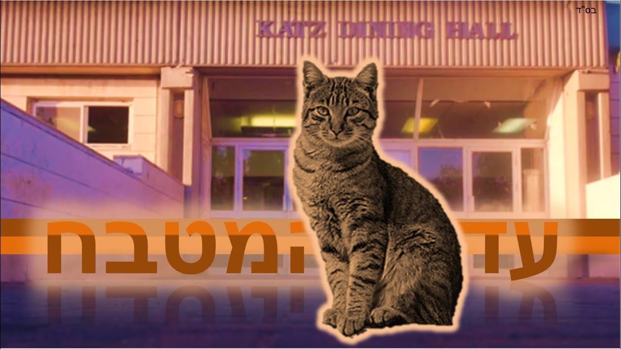 עד המטבח (Prod. by Nevo) - שיר בונוס || פורים תשפ"א || מחזור ל"ה נווה ...