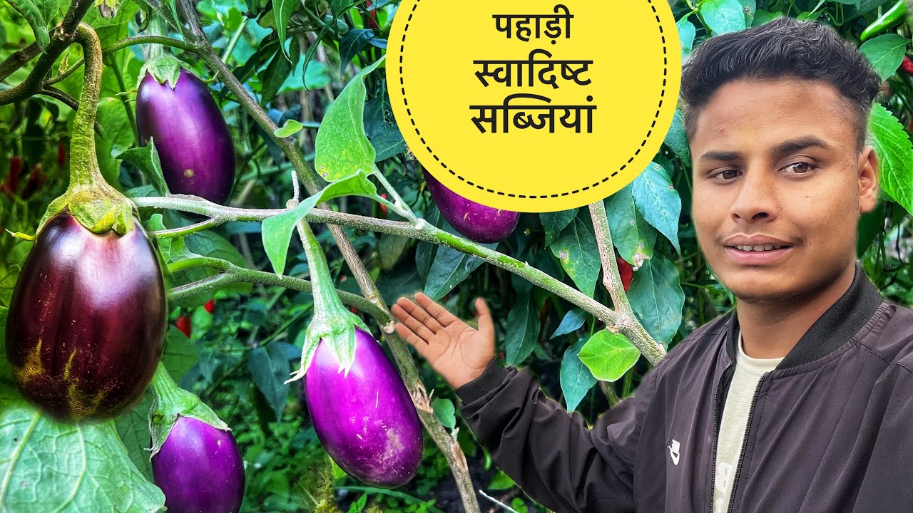 पहाड़ों की स्वादिष्ट सब्जियां | The taste of Uttarakhandi village ...