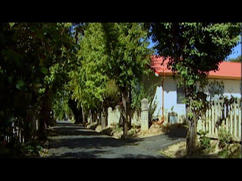 The Surreal State of Life in the Korean DMZ | Freedom Village (2005)