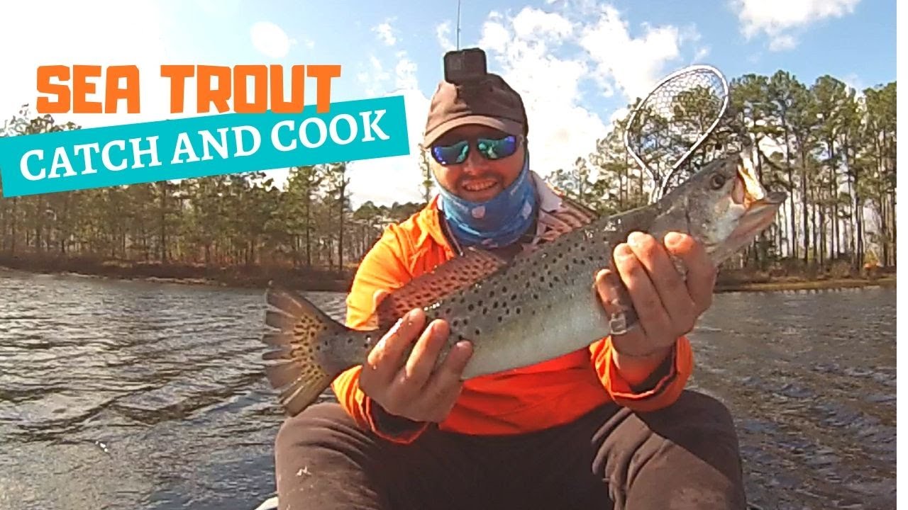 TROUT CATCH AND COOK: One of the Most UNDERRATED INSHORE FISH - YouTube