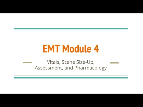 Module 4 Review Pt Assessment (Ch 11-14) - YouTube