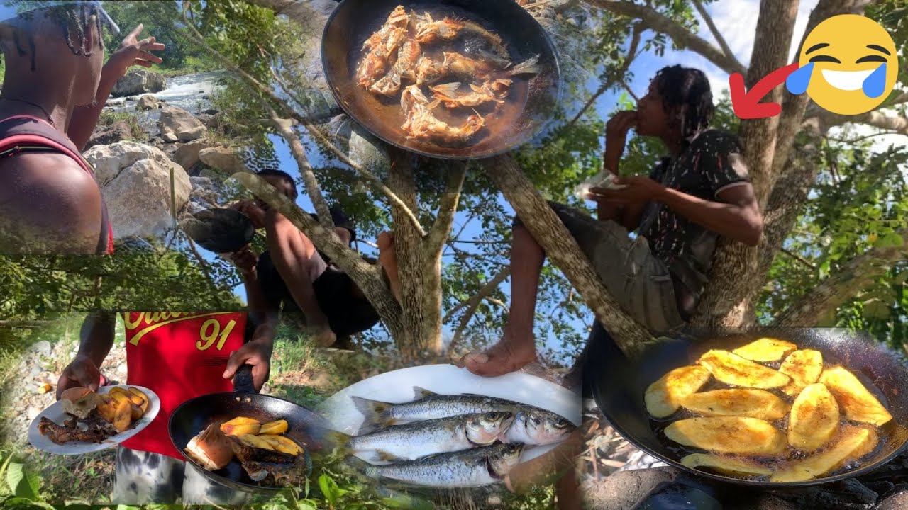 Fun Catch And Cook 🎣🥘 Eating Fry Fish And Plantains in a Tree!😱🌳😂 - YouTube
