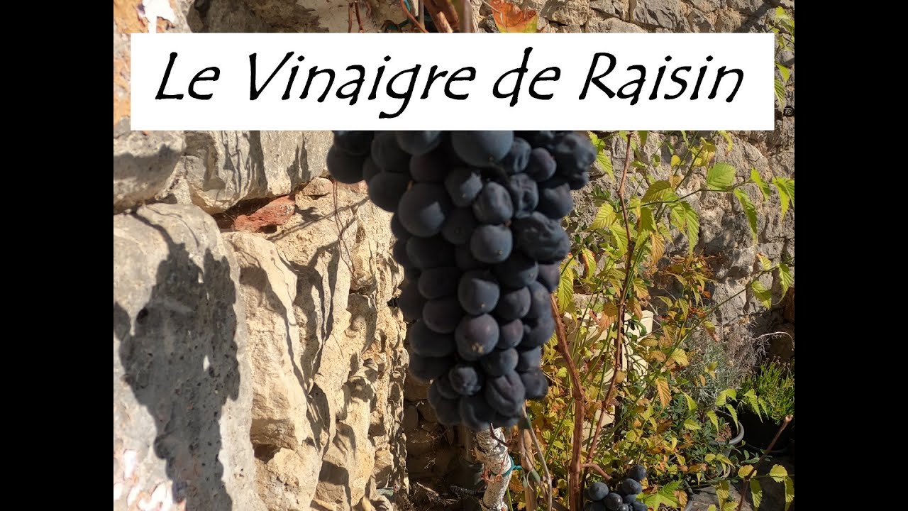 Vinaigre de raisin - YouTube