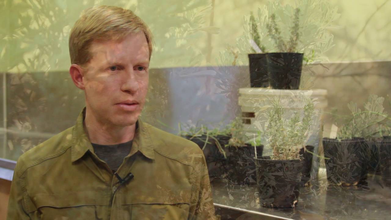 Meet Dr. Bryce Richardson, Research Geneticist - YouTube