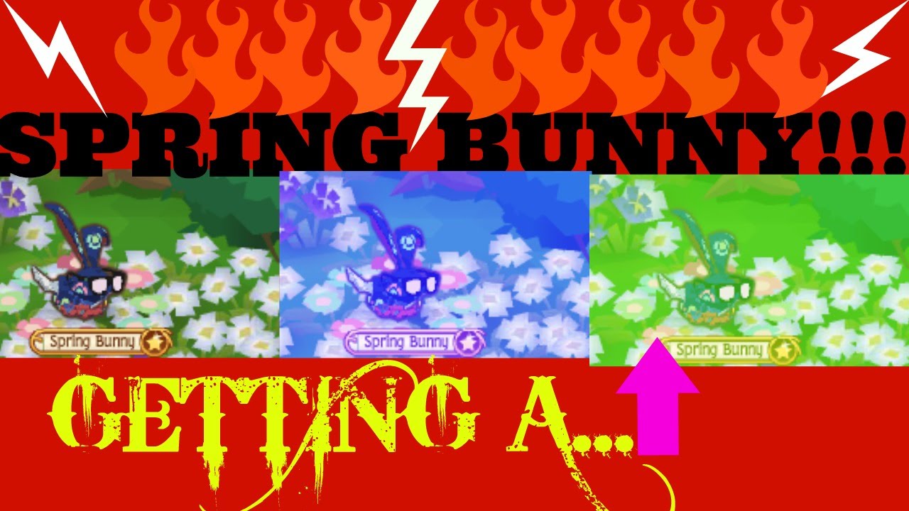 Animal Jam: GETTING A SPRING BUNNY!!!!! (Got on the day they first came ...
