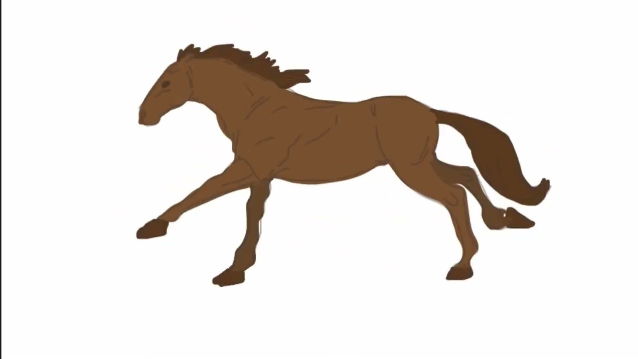 horse walk cycle|Drawing|2d animation|run cycle|graphics|sketching ...