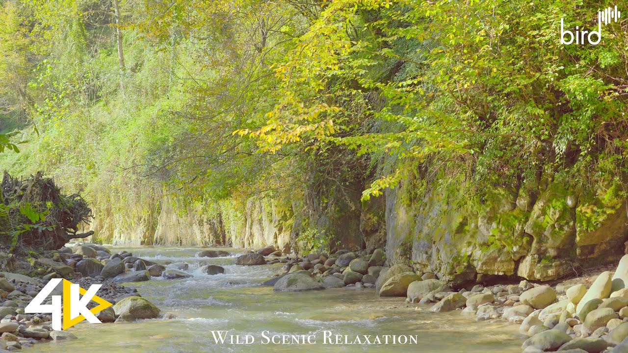 iran | 4k video ultra hd | relaxing videos - YouTube