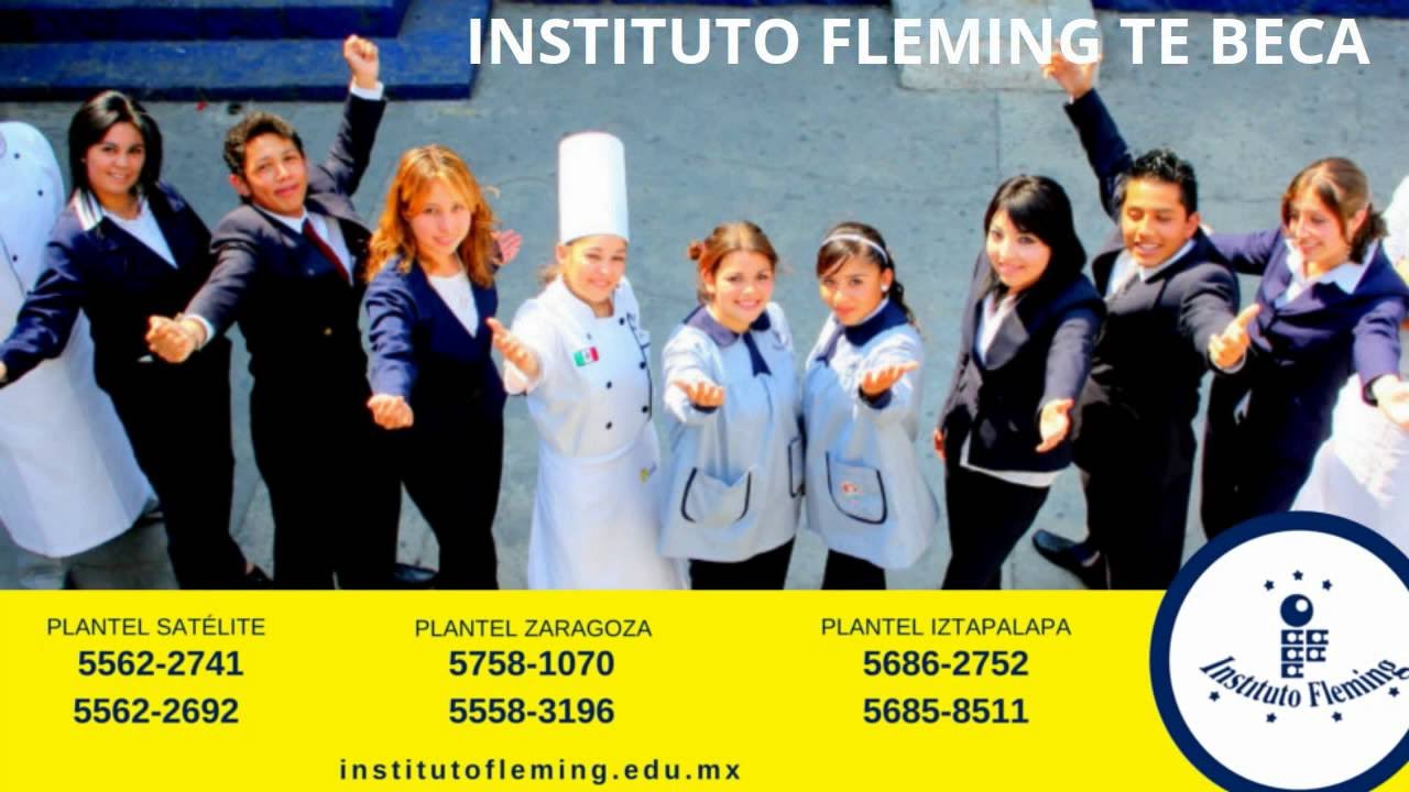 Instituto Fleming Logo